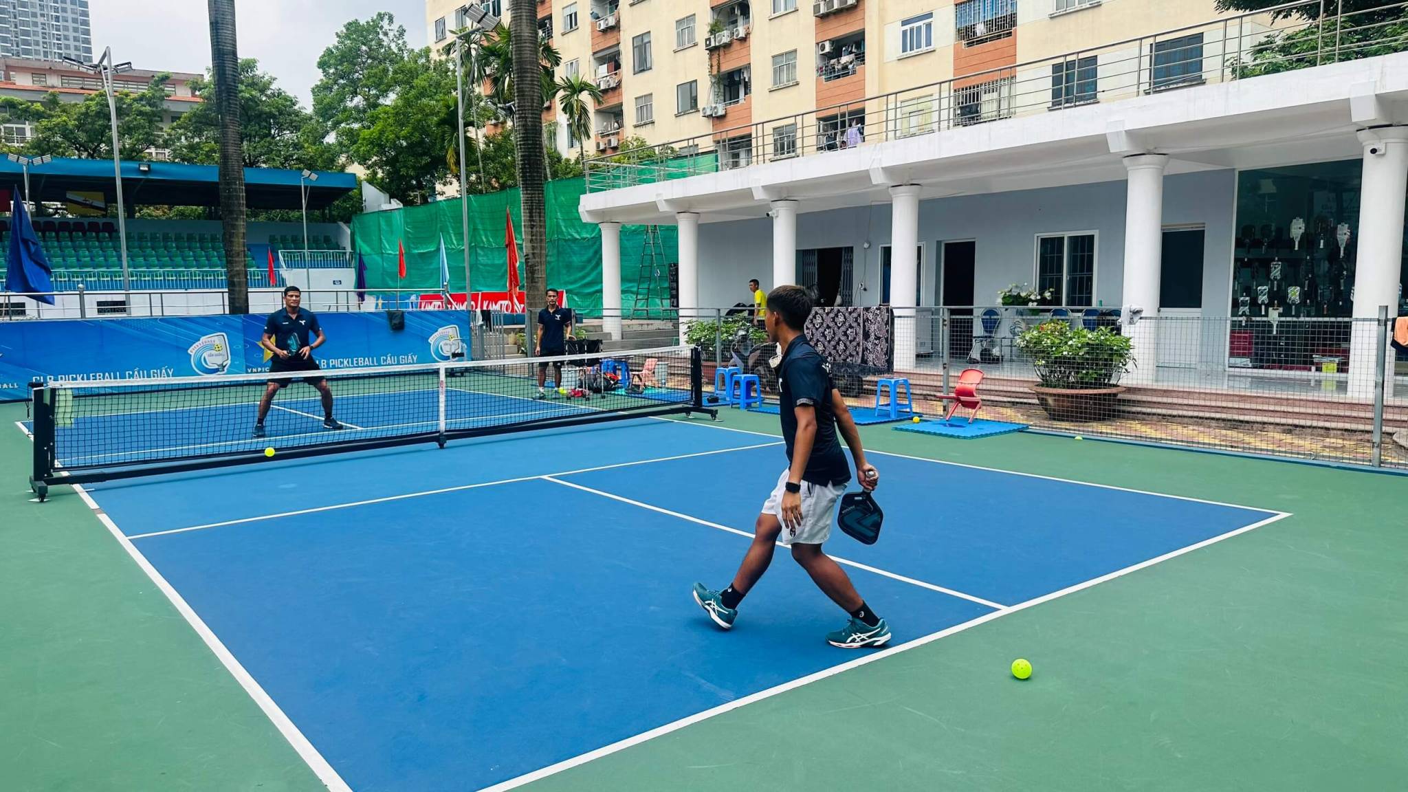 PickleBall là gì? Tổng hợp những thông tin chi tiết về Pickleball