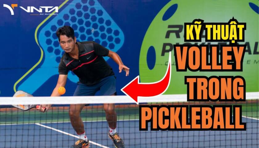 Top 7+ Các Kỹ Thuật Pickleball Từ Cơ Bản Đến Nâng Cao Giúp Bạn Làm Chủ Sân Đấu